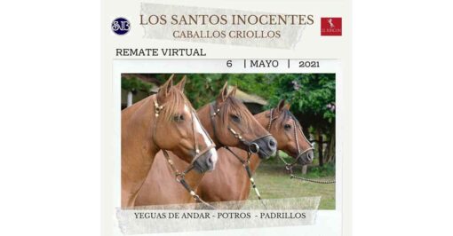 Remate Virtual Los Santos Inocentes Caballos Criollos - 6 de Mayo ...